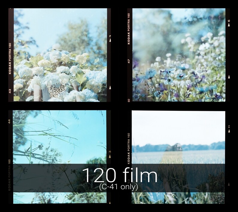Color Film Processing W/ High Resolution Scans | High Resolution Scans| No Negatives Shipping ...