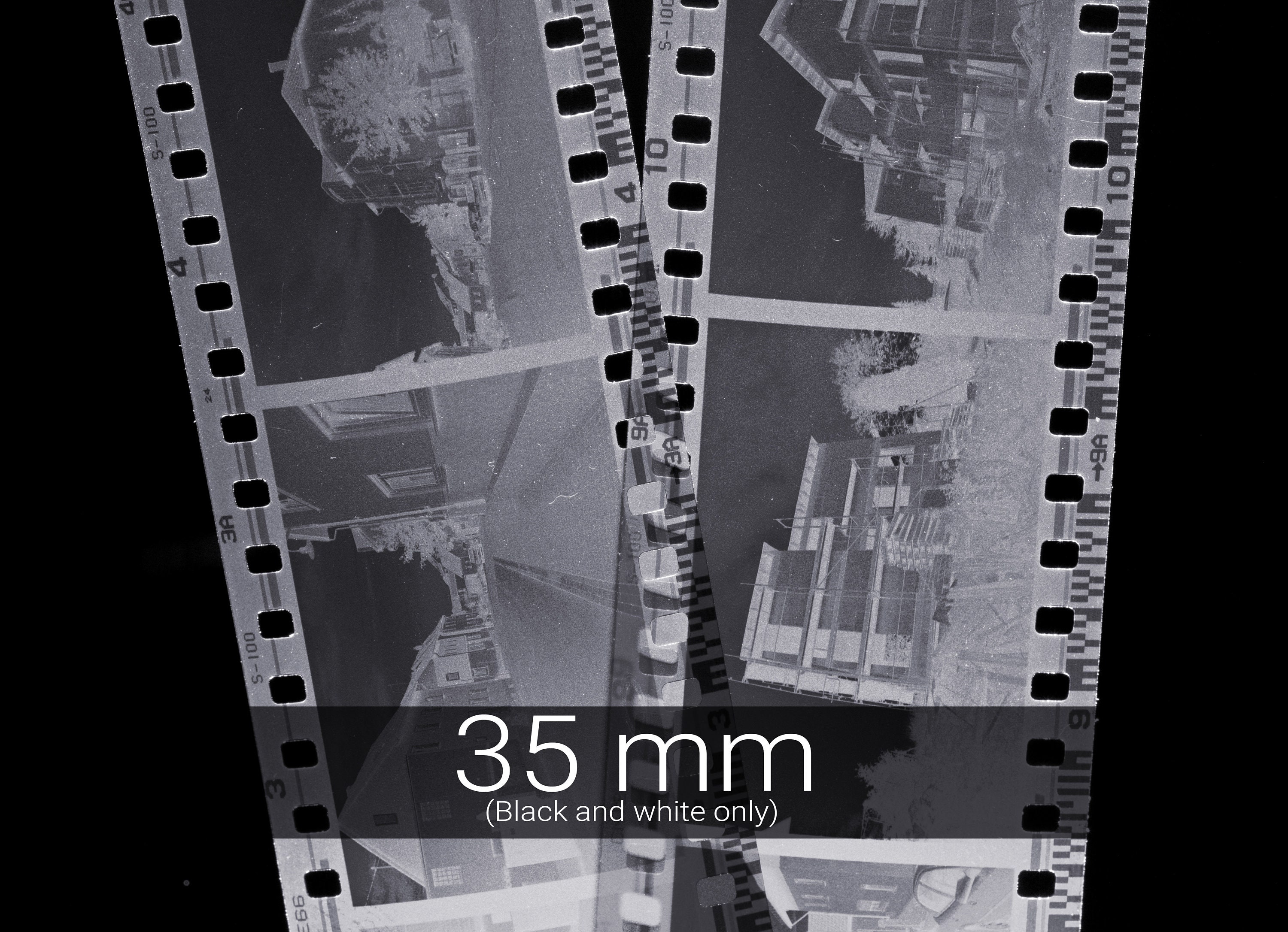Black and White Film Processing W/ High Resolution Scans | Send Your ...