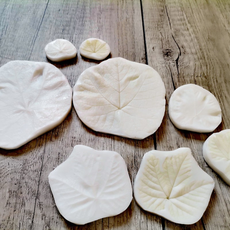 Realistic Leaf Molds - Etsy