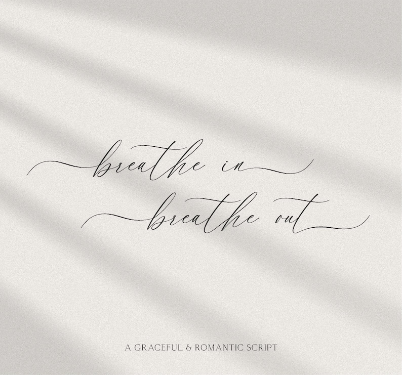 Handwritten Script Font, Script Fonts, Cursive Font, Canva Font ...