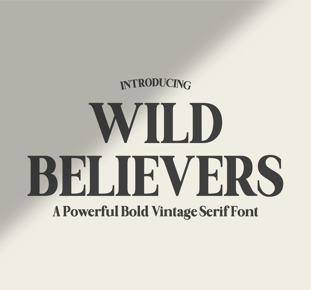 Modern Serif Font, Branding Font, Logo Font, Canva Font, Procreate Font ...