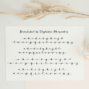 Handwritten Script Font, Procreate Fonts, Script Font, Calligraphy, Wedding Fonts, Cursive Font ...