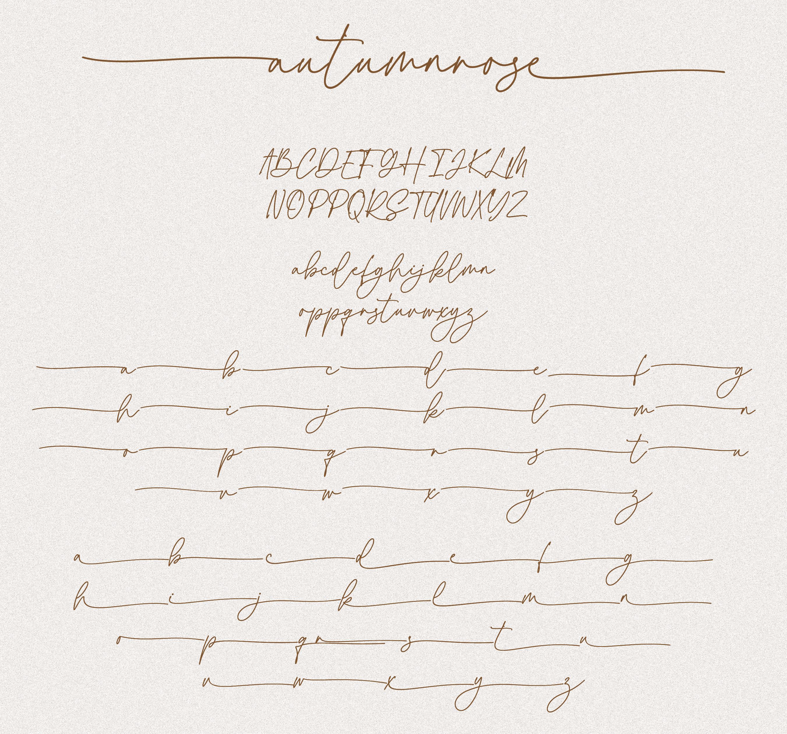 Cursive Font, Calligraphy Font, Cursive Script Font, Wedding Font ...