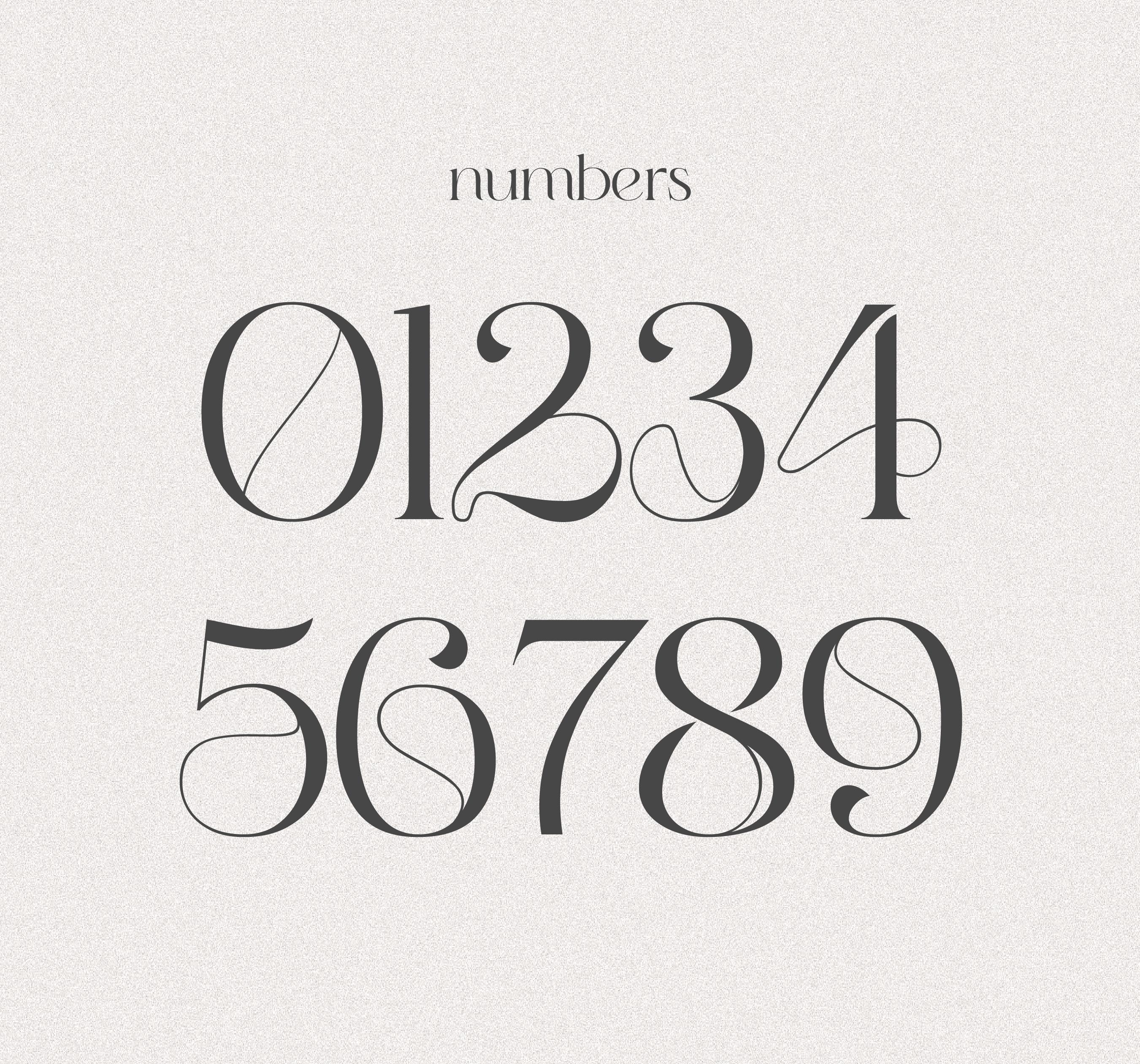 Serif Font, Modern Font, Wedding Font, Logo Font, Canva Font, Branding ...