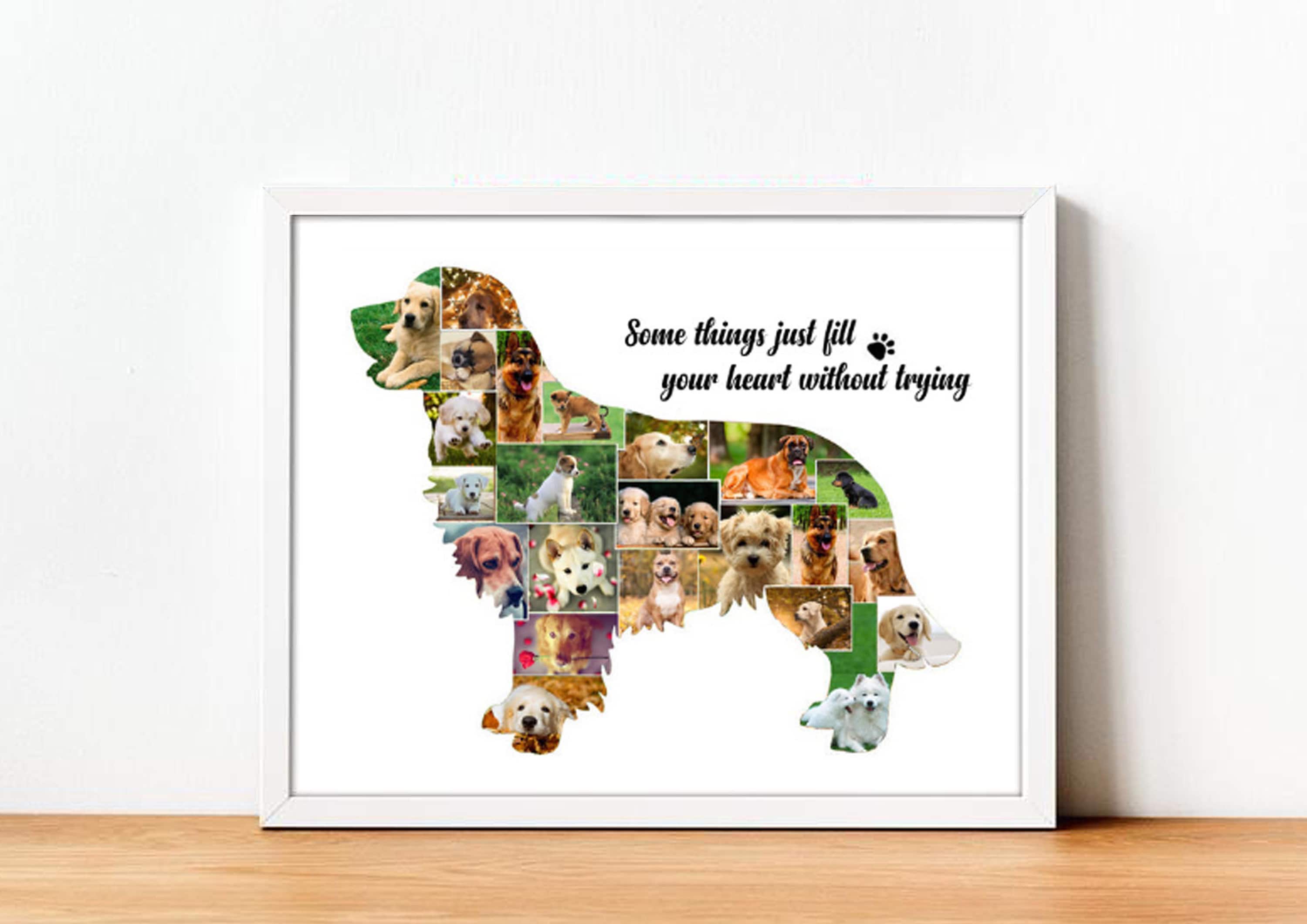 Collage Golden Retriever