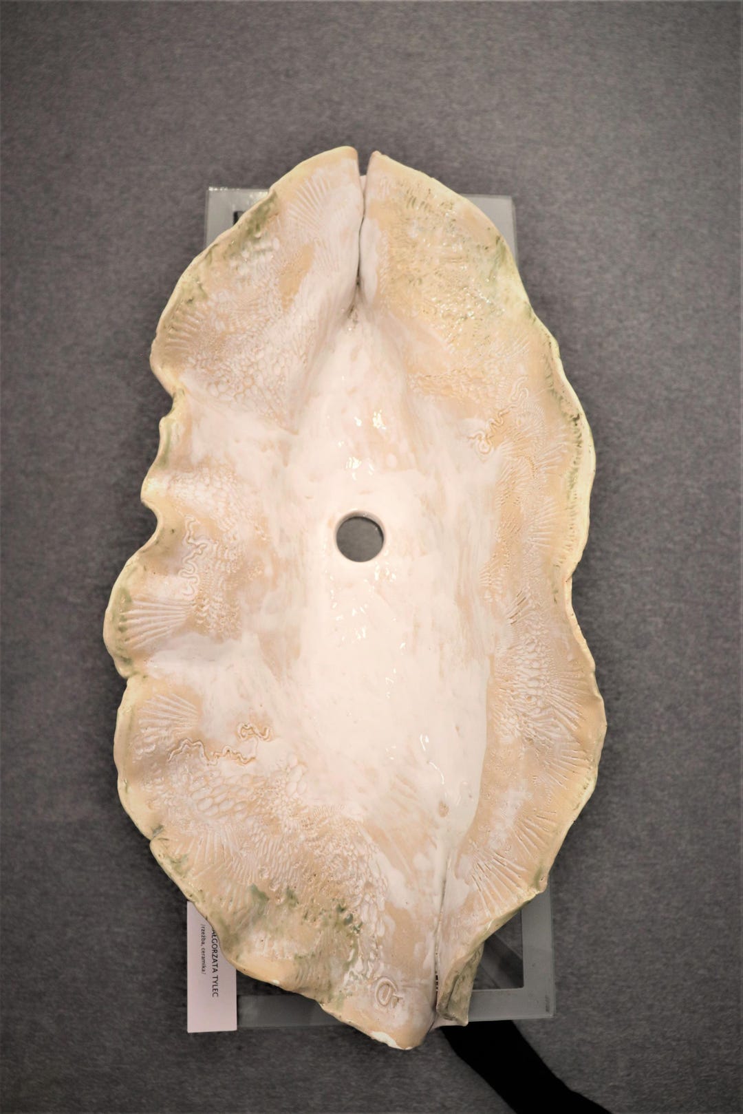 Sink Ceramic, Coral Reef, Seeshell, Basin, Bathroom, Wathbasin, Ceramic ...