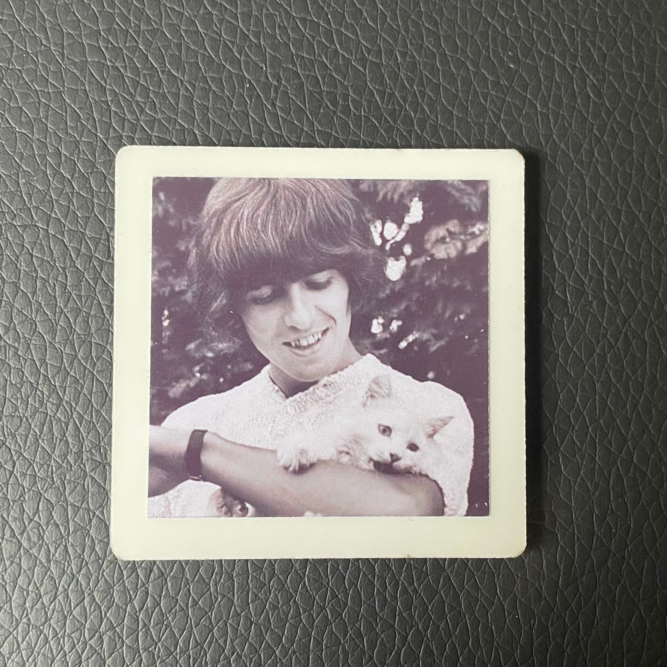 The Beatles With Cats George Harrison Coaster or Magnet - Etsy