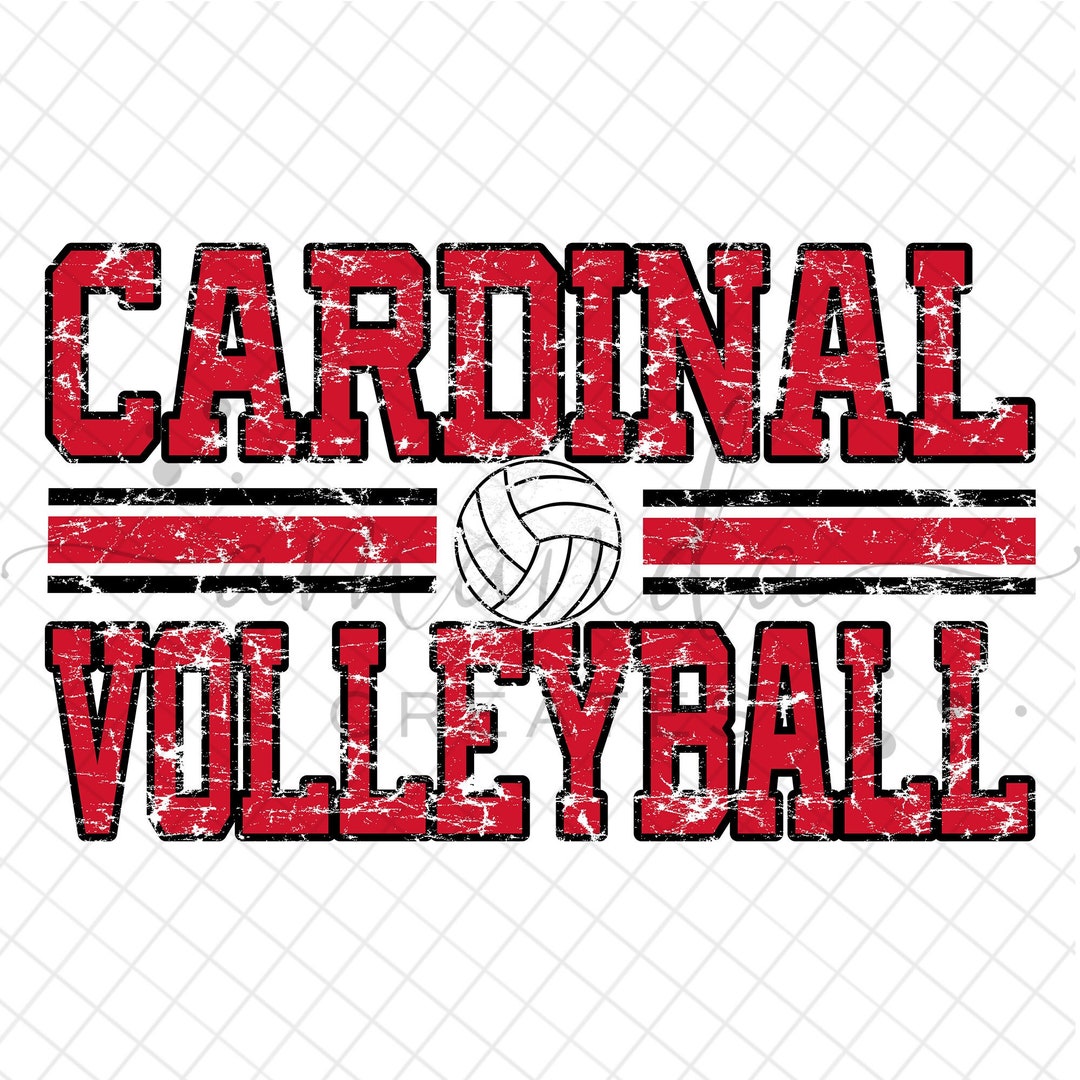 Vintage Cardinal Volleyball Mascot Design PNG & JPG, Digital Download ...