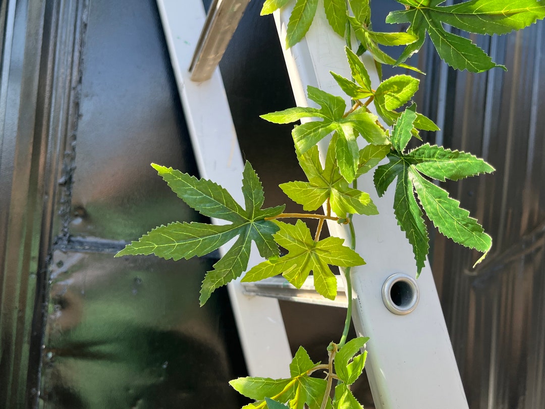 6 Ft Marijuana Garland Cannabis Artificial Leaves Pot Weed Smoke ...