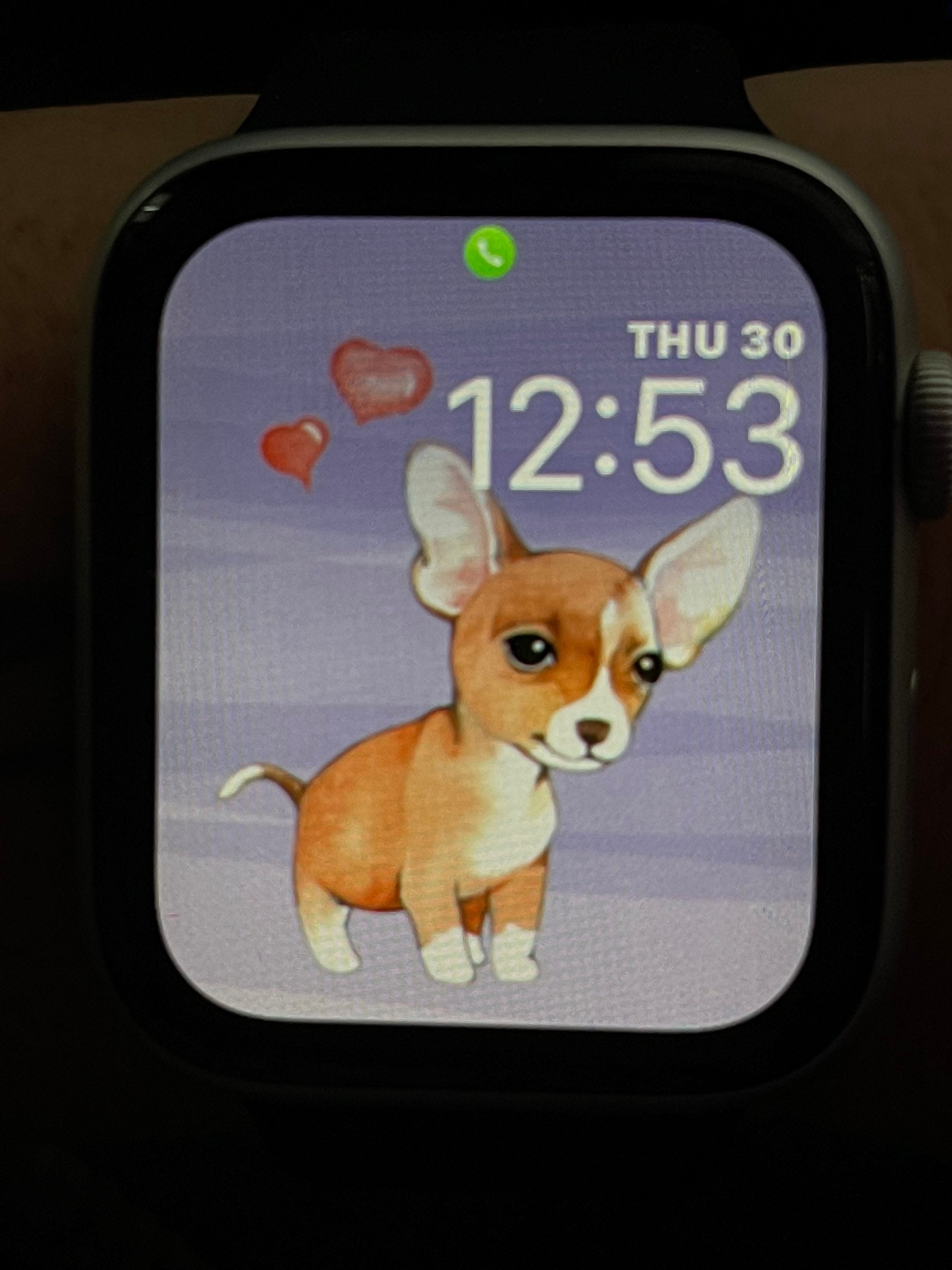 Chihuahua Dog Apple Watch Face Wallpaper Chihuahua Apple - Etsy