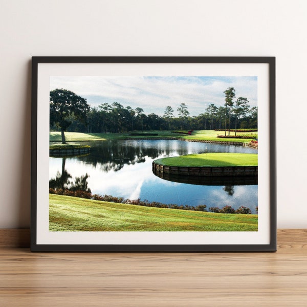 Tpc Sawgrass Poster - Etsy