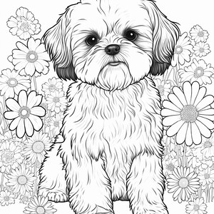 Personalized Dog Breed Coloring Book - Customized With Your Dog's Name ...