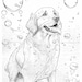 Golden Retriever Coloring Book: 37 Designs for Kids, Adults, and Dog ...