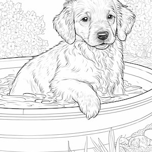 Golden Retriever Coloring Book: 37 Designs for Kids, Adults, and Dog ...