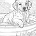 Golden Retriever Coloring Book: 37 Designs for Kids, Adults, and Dog ...