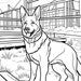 German Shepherd Wonders: A Delightful 50-page Coloring Book for Dog ...