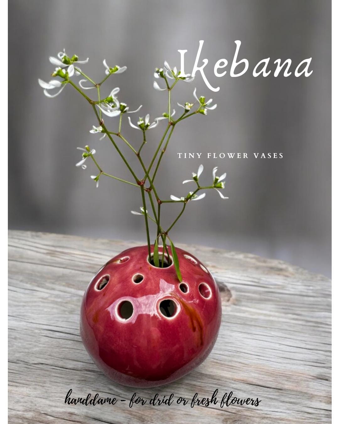 Ikebana Flower Frog Vase, Kenzan, Mini Stem Holder for Fresh & Dried ...