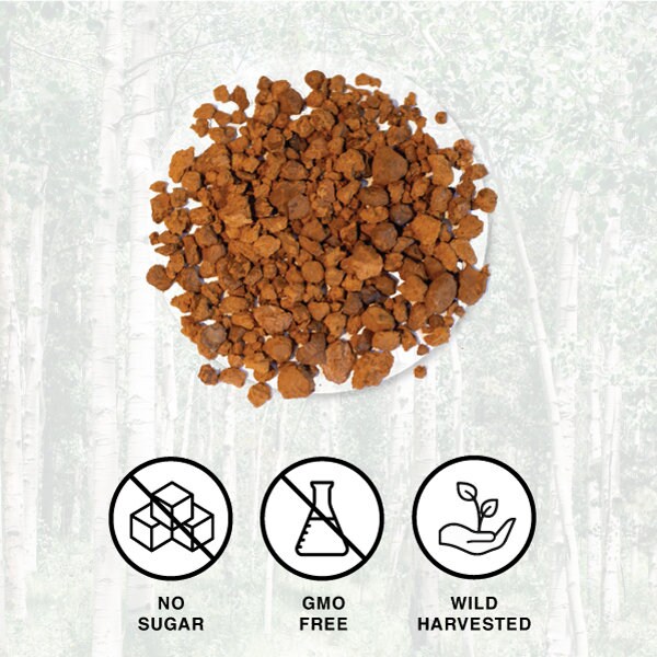 Cha-cha Chaga Tea - 20 Tea Bags - Wild Harvested Chaga Mushroom Powder ...