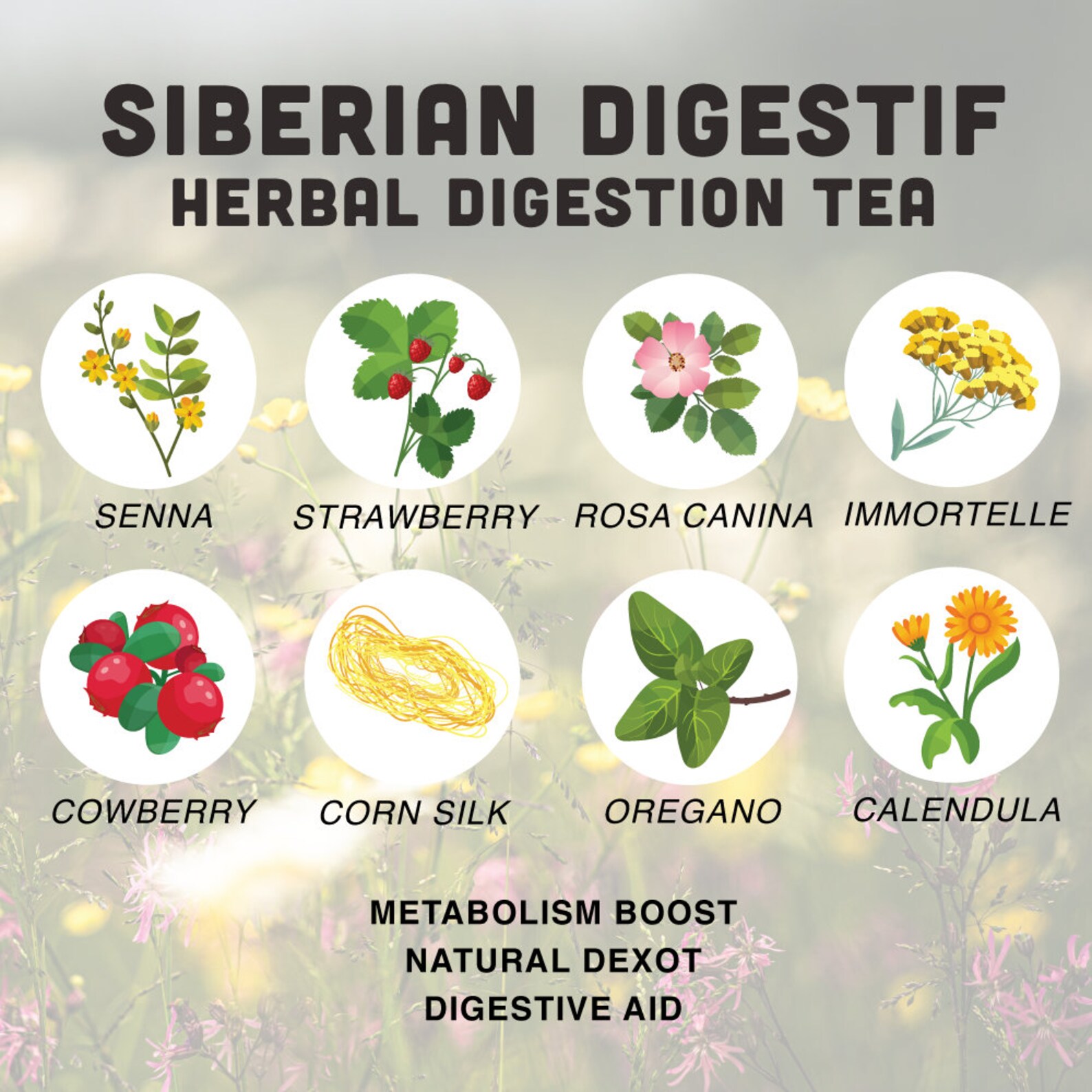 Siberian Digestif - 20 Tea Bags - Herbal Infusion Digestive Blend - Etsy