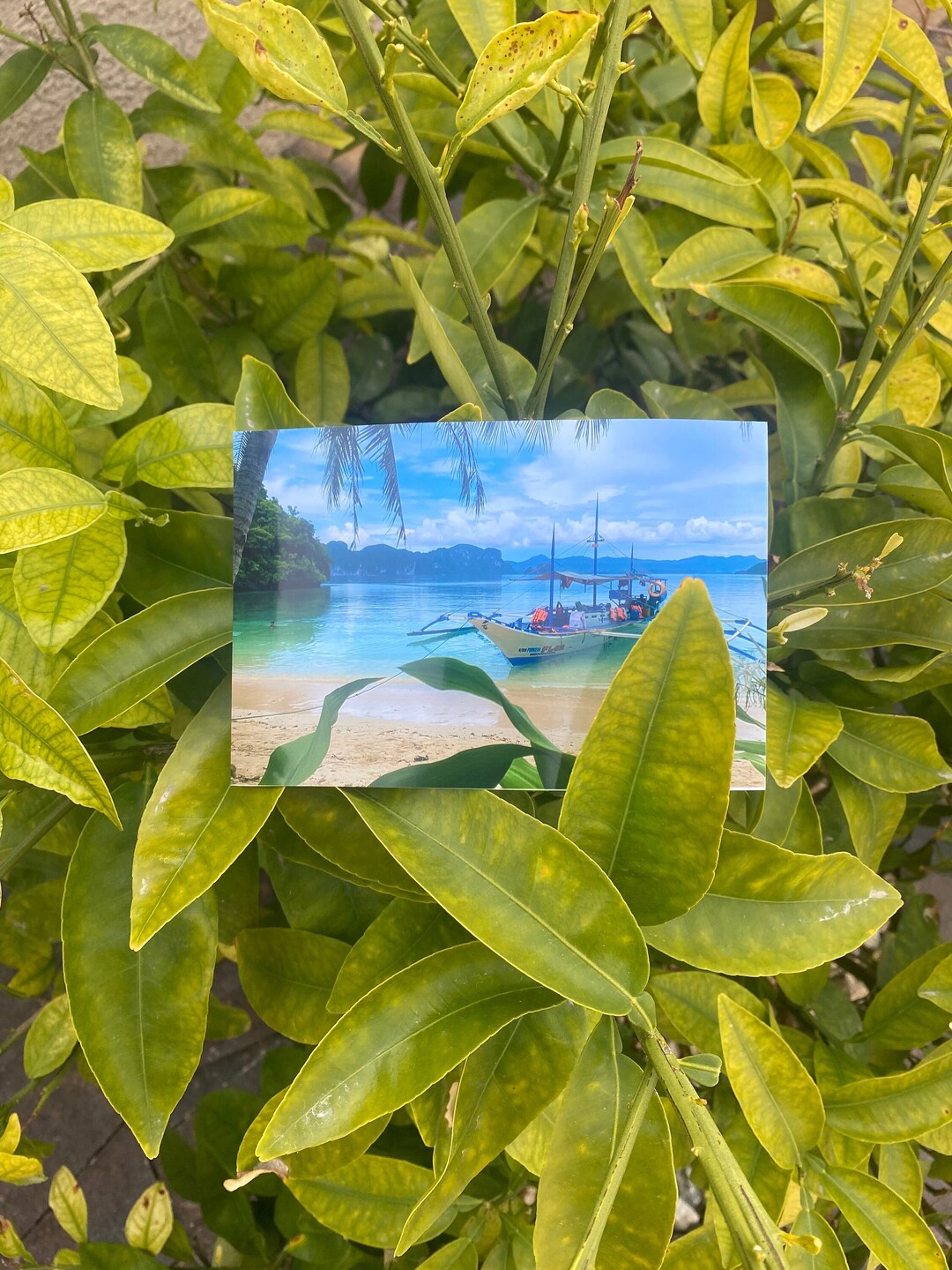 Print of 4x6 - Palawan Island- Print Shipped to You Southeast Asia ...