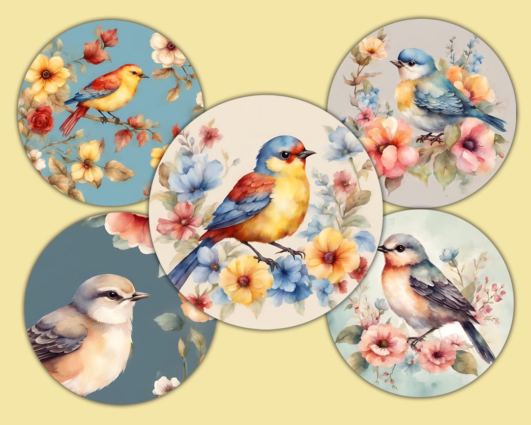 Birds Digital Collage Sheet, Watercolor Bird Circle Images, Vintage ...