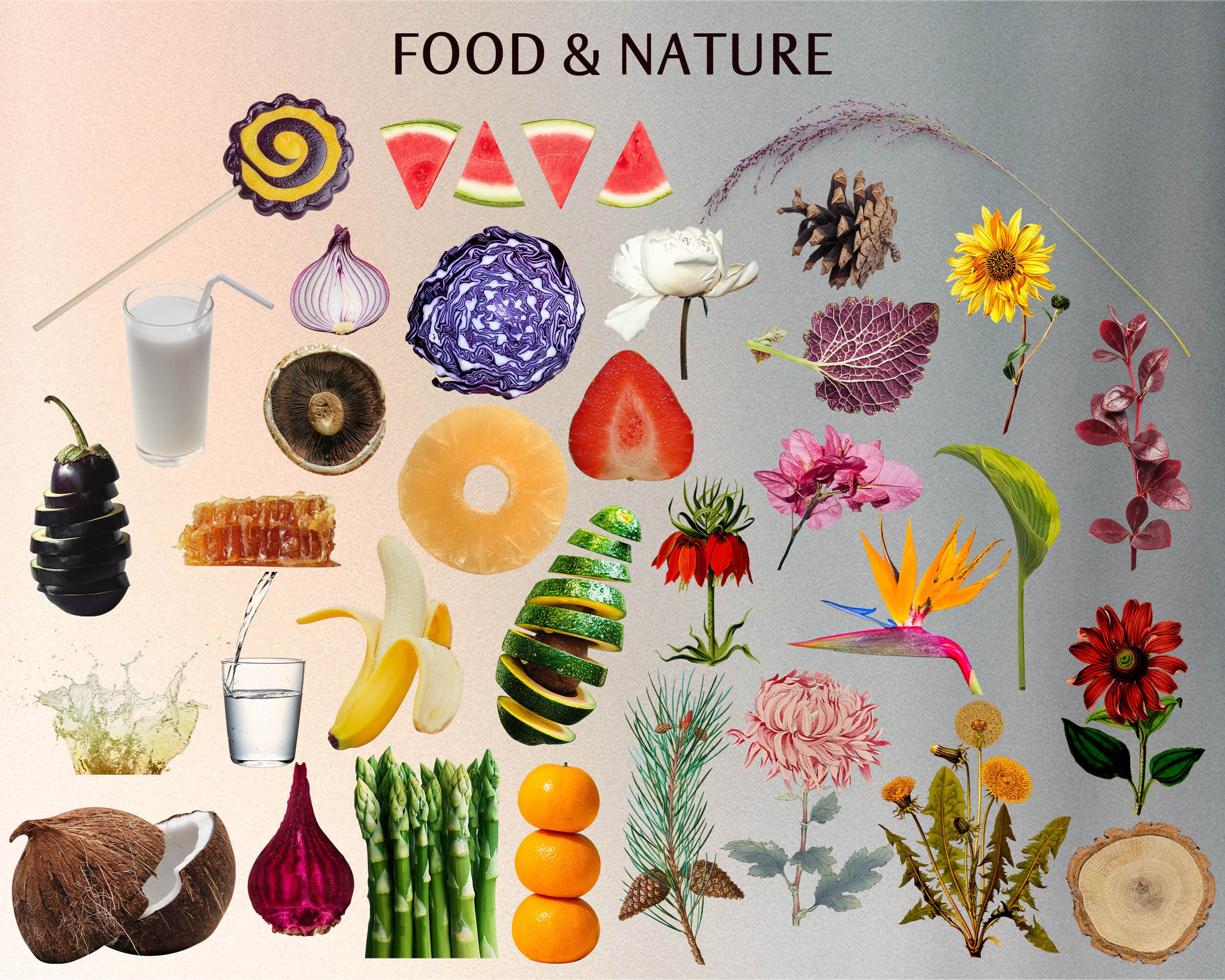 Surreal Collage Creator DIY Photo Collage Art Maker Cut Out - Etsy