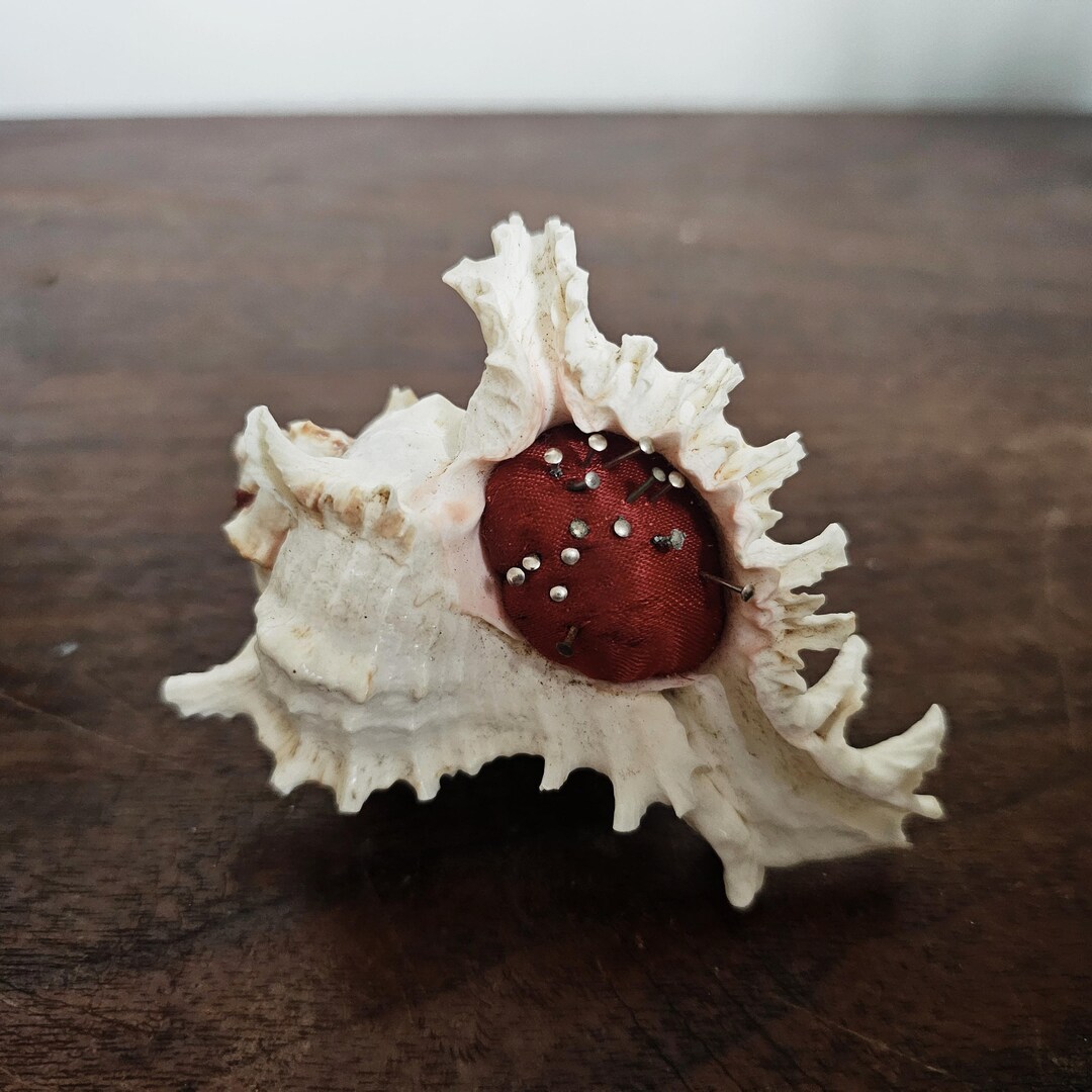 VINTAGE | Spiky Muricidae Sea Shell Pin Cushion - Etsy