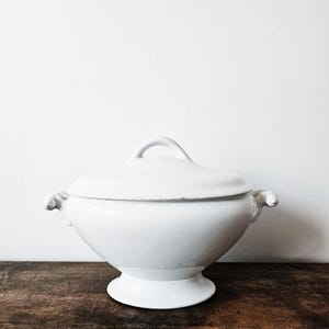 ANTIQUE | Rare Ironstone Thomas Furnival & Sons 1800's Tureen - Etsy