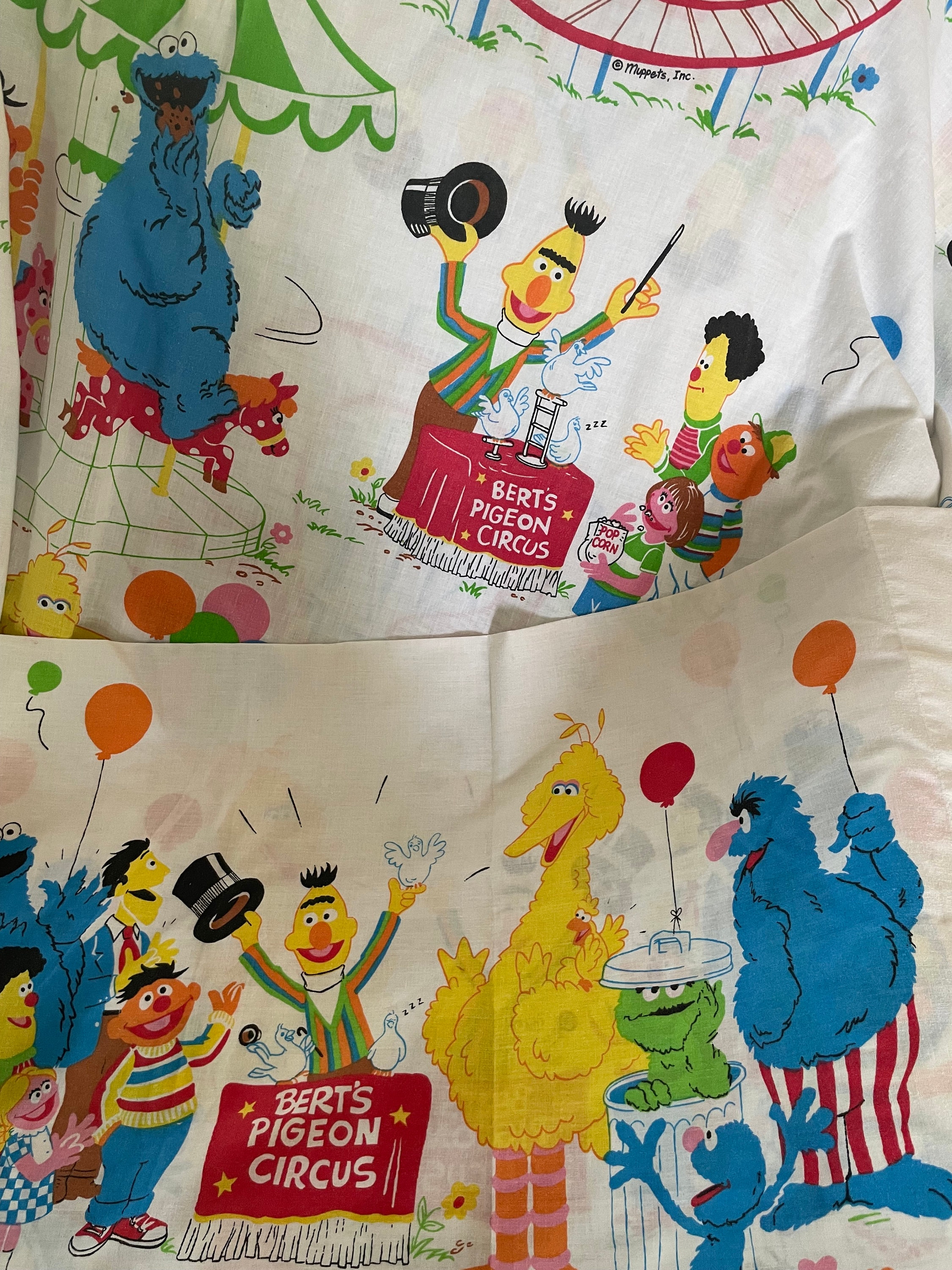 Sesame Street Bert Pigeon