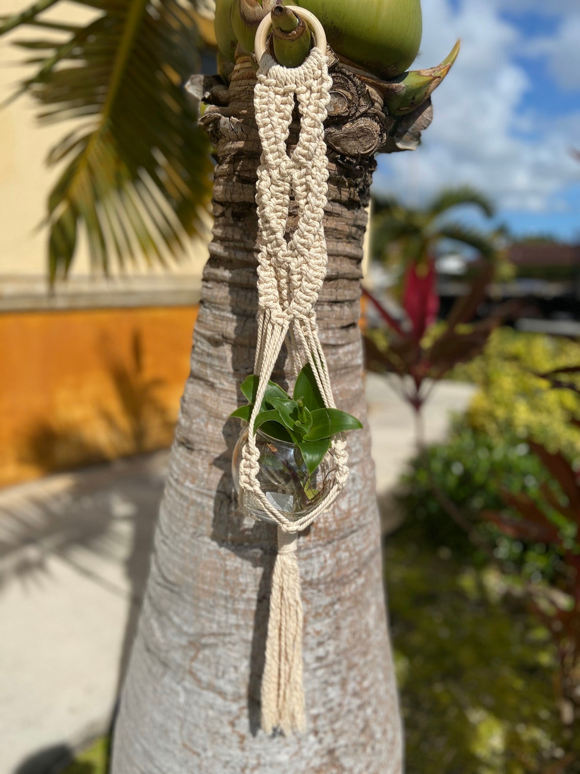 Handmade White Organic Cotton Braided Macrame Plant Hanger | Etsy