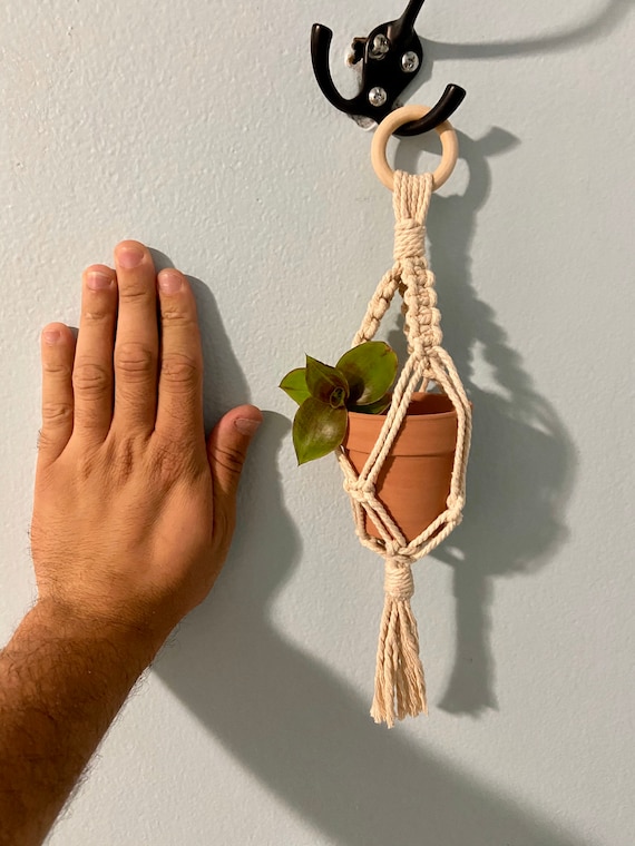 Mini Macrame Plant Hanger - Etsy