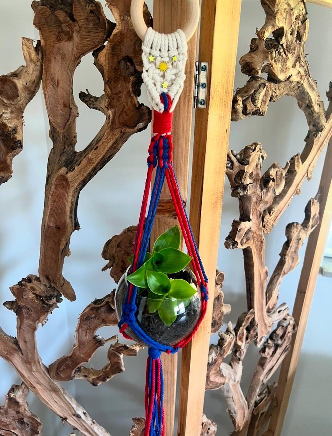 Macrame Filipino Plant Hanger - Etsy