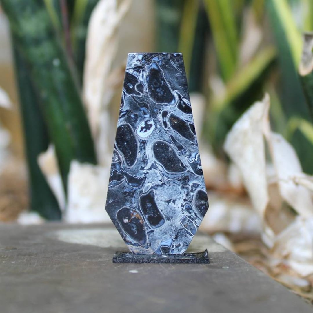 Cabujón de raíz de palma - Etsy España