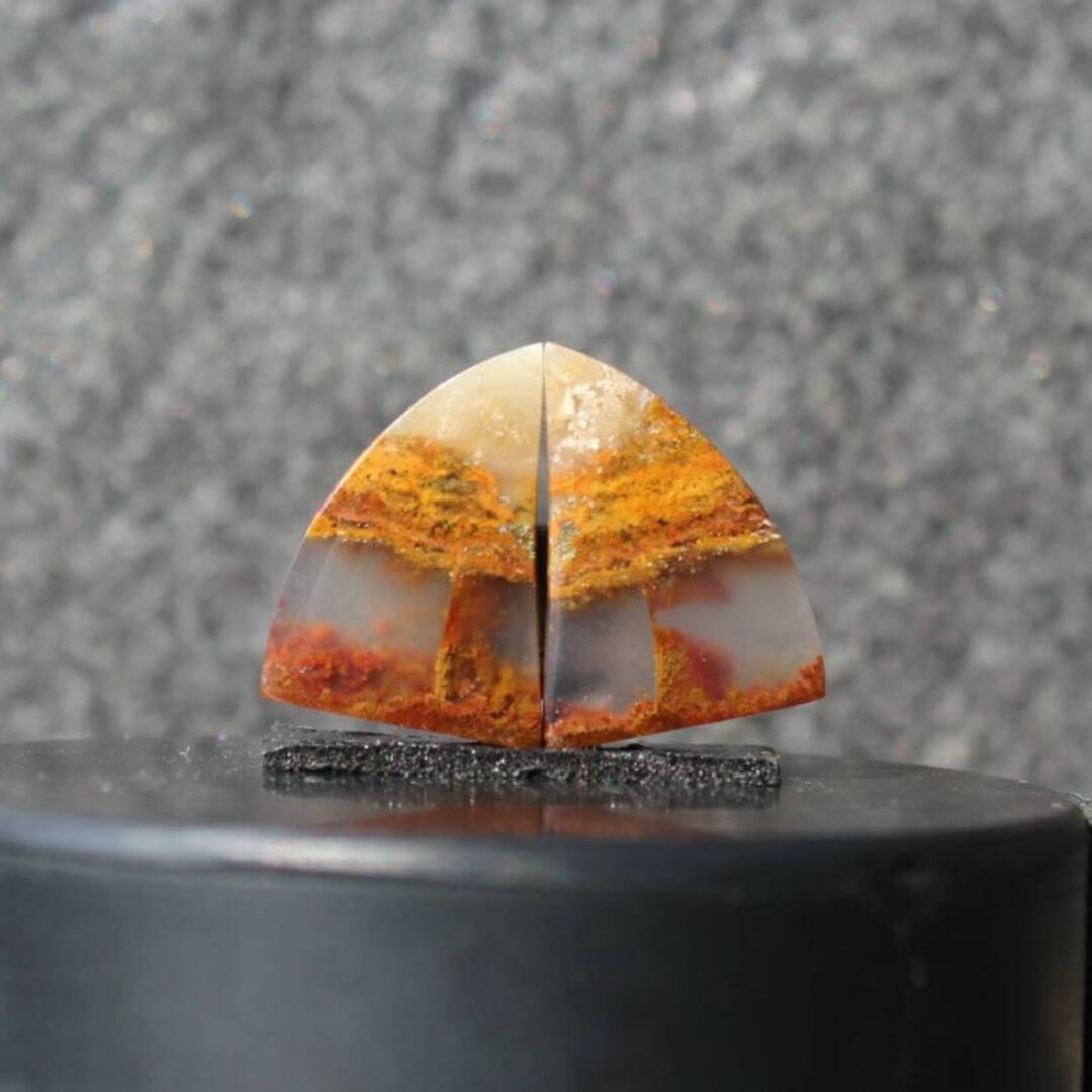 Opalized Wood Agate Pair - Etsy