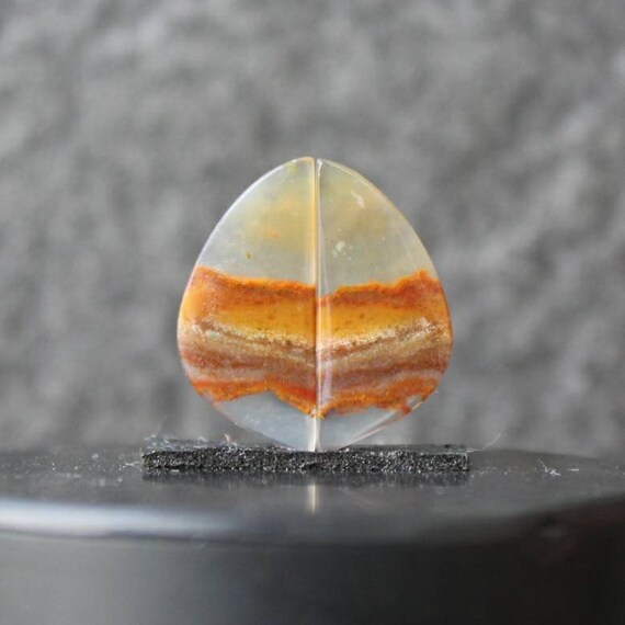 Opalized Wood Agate Pair - Etsy