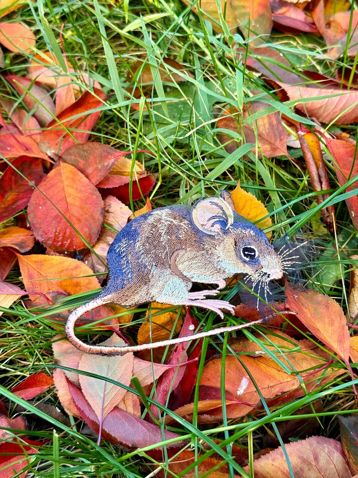 House Mouse Cute Embroidered Patch Rodent - Etsy