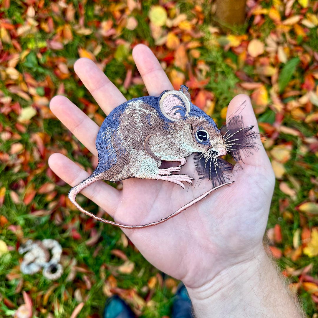 House Mouse Cute Embroidered Patch Rodent - Etsy
