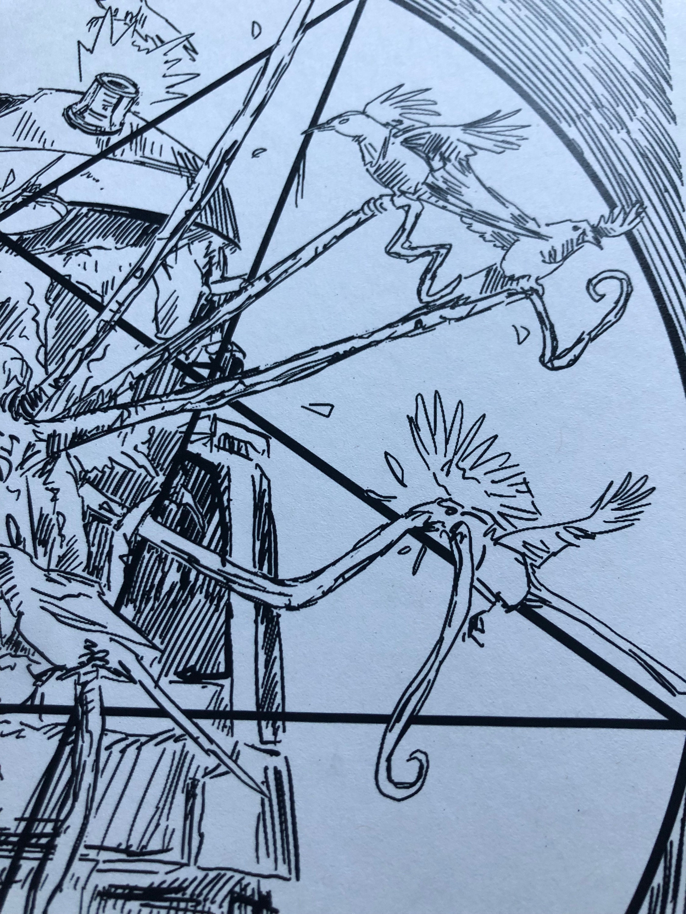 Devils Bird B/W - Etsy UK