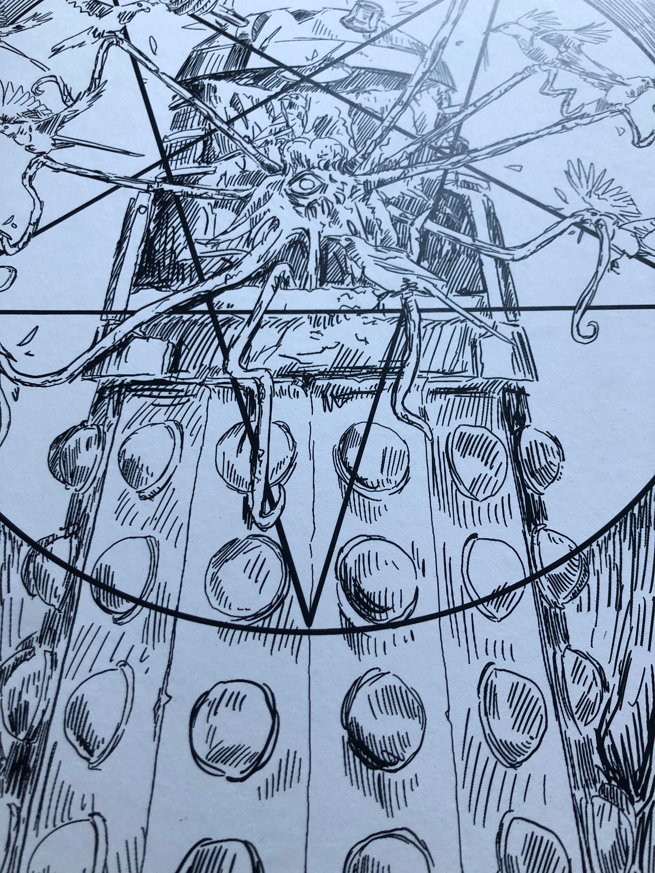 Devils Bird B/W - Etsy UK