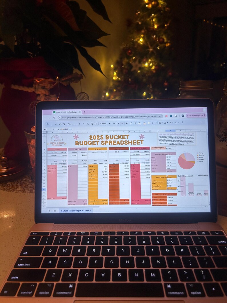 2025 Bucket Budget Spreadsheet - Etsy