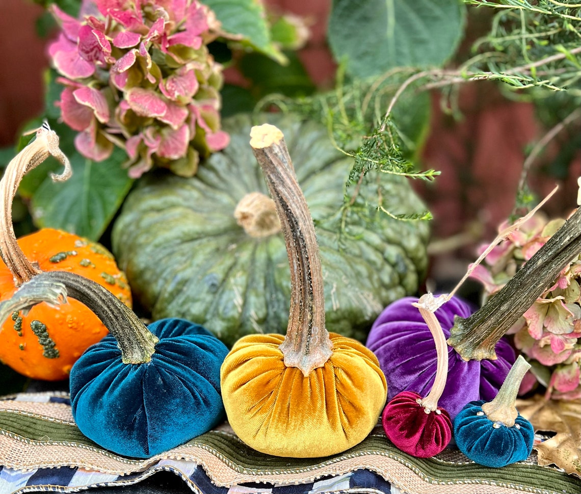 Velvet Pumpkins With Real Stems - Etsy