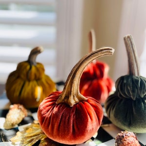 Velvet Pumpkins With Real Stems - Etsy