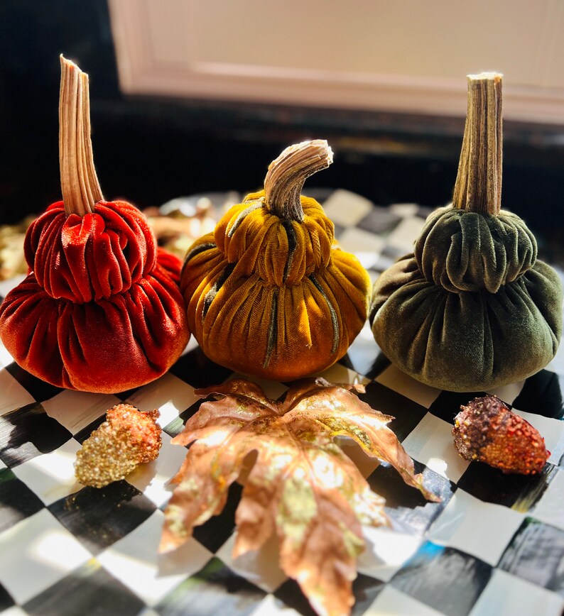 Velvet Pumpkins With Real Stems - Etsy