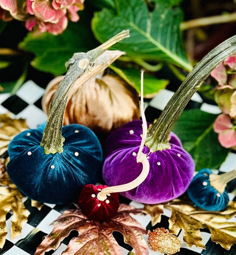 Velvet Pumpkins With Real Stems - Etsy
