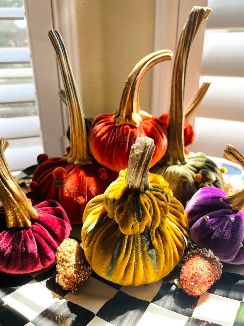 Velvet Pumpkins With Real Stems - Etsy