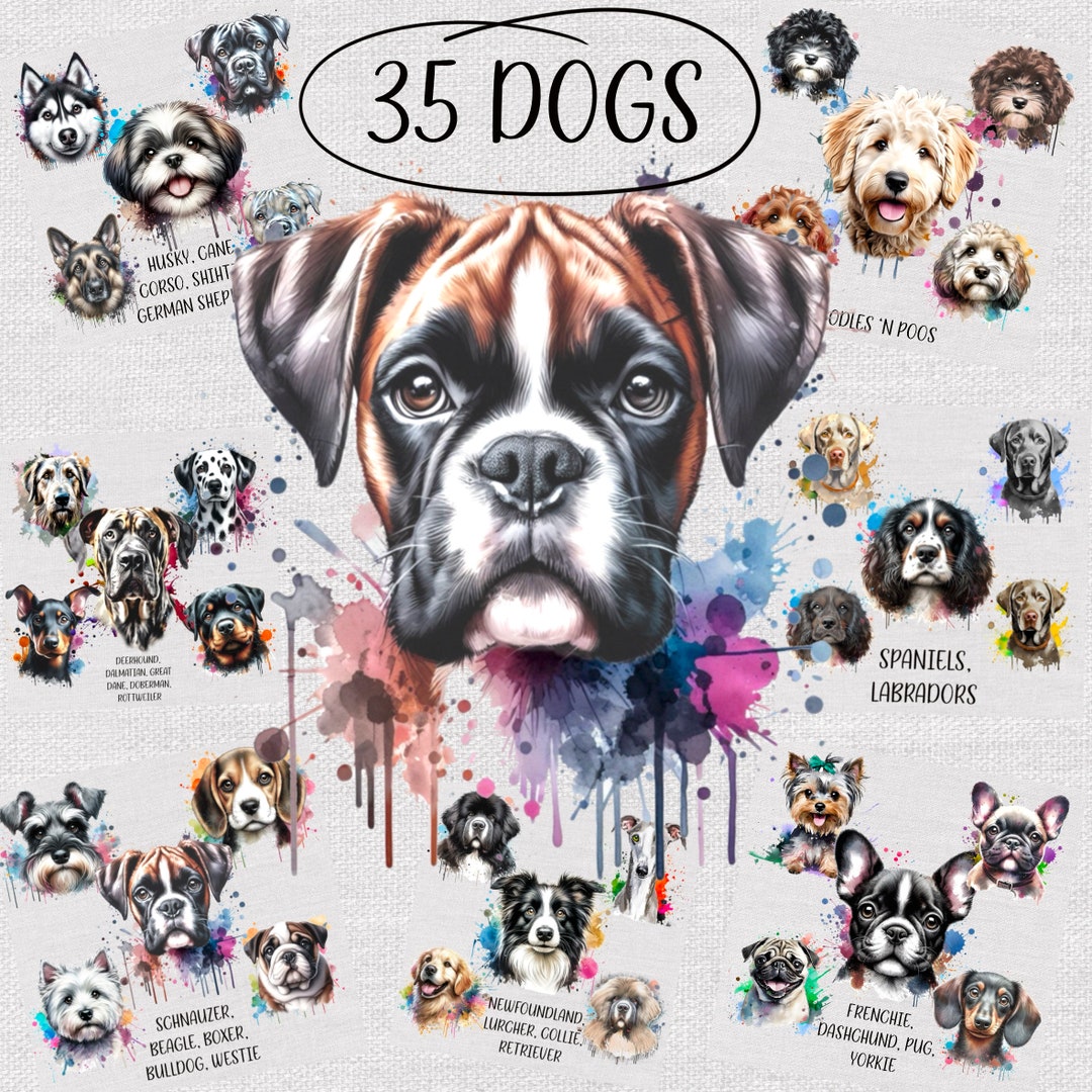 Watercolor Dog Breeds Clipart: 35 PNG Files (instant Download) - Etsy