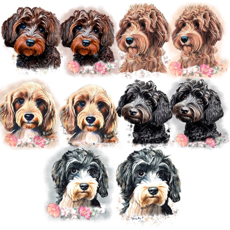Cute Cockapoos. 5 Different Cockapoos, With and Without Flowers, 10 PNG ...