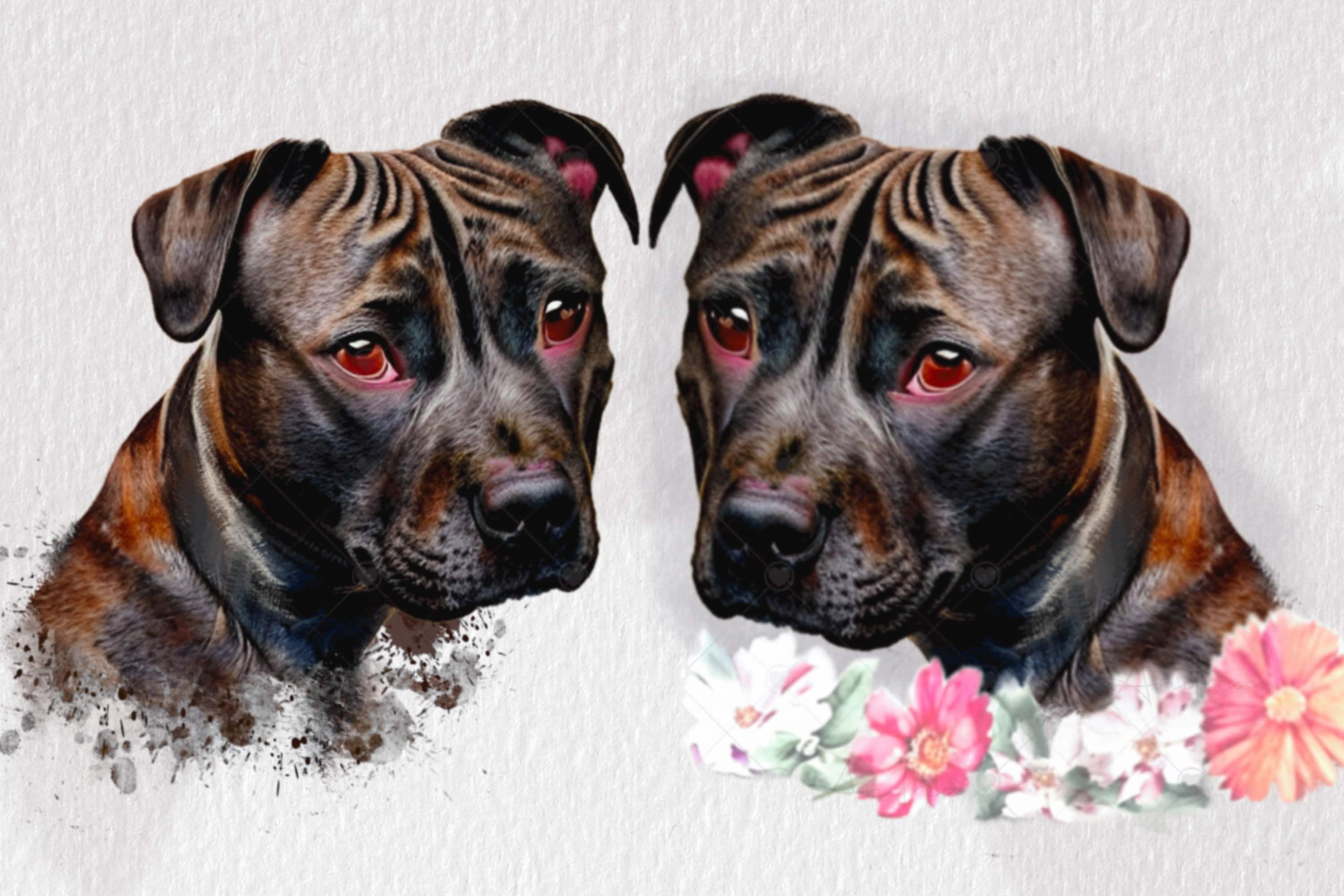 Cute Staffies Staffordshire Bull Terrier. There Are 5 Dogs - Etsy