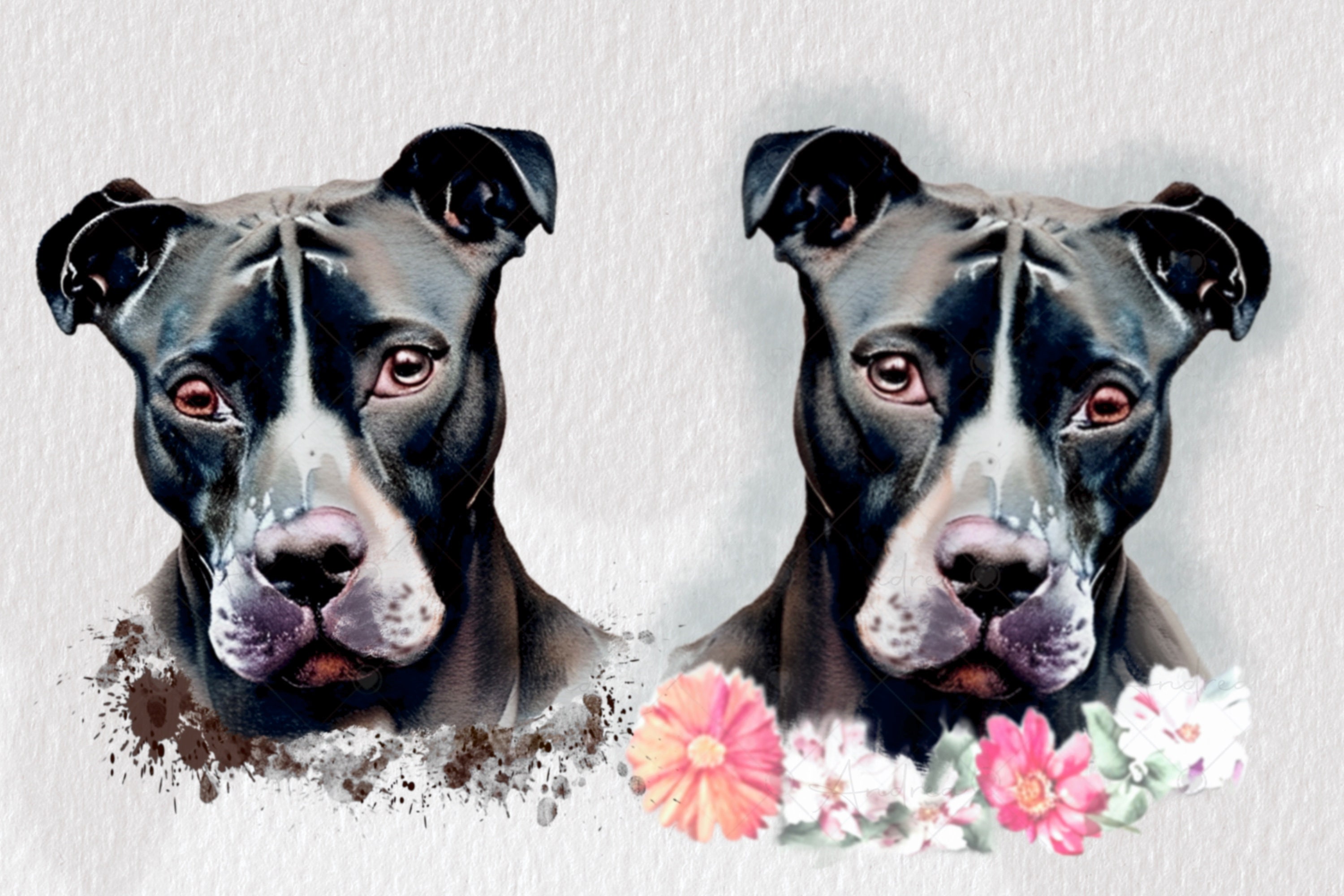 Cute Staffies Staffordshire Bull Terrier. There Are 5 Dogs - Etsy