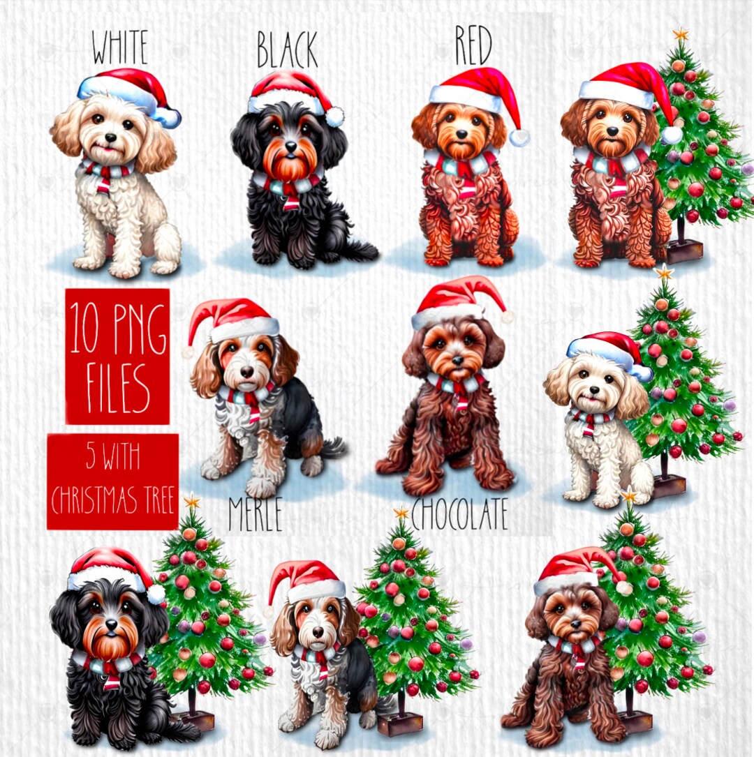 Cute Christmas Cockapoo Pngs. 5 Cockapoo’s With Hat and Scarf, on Their ...